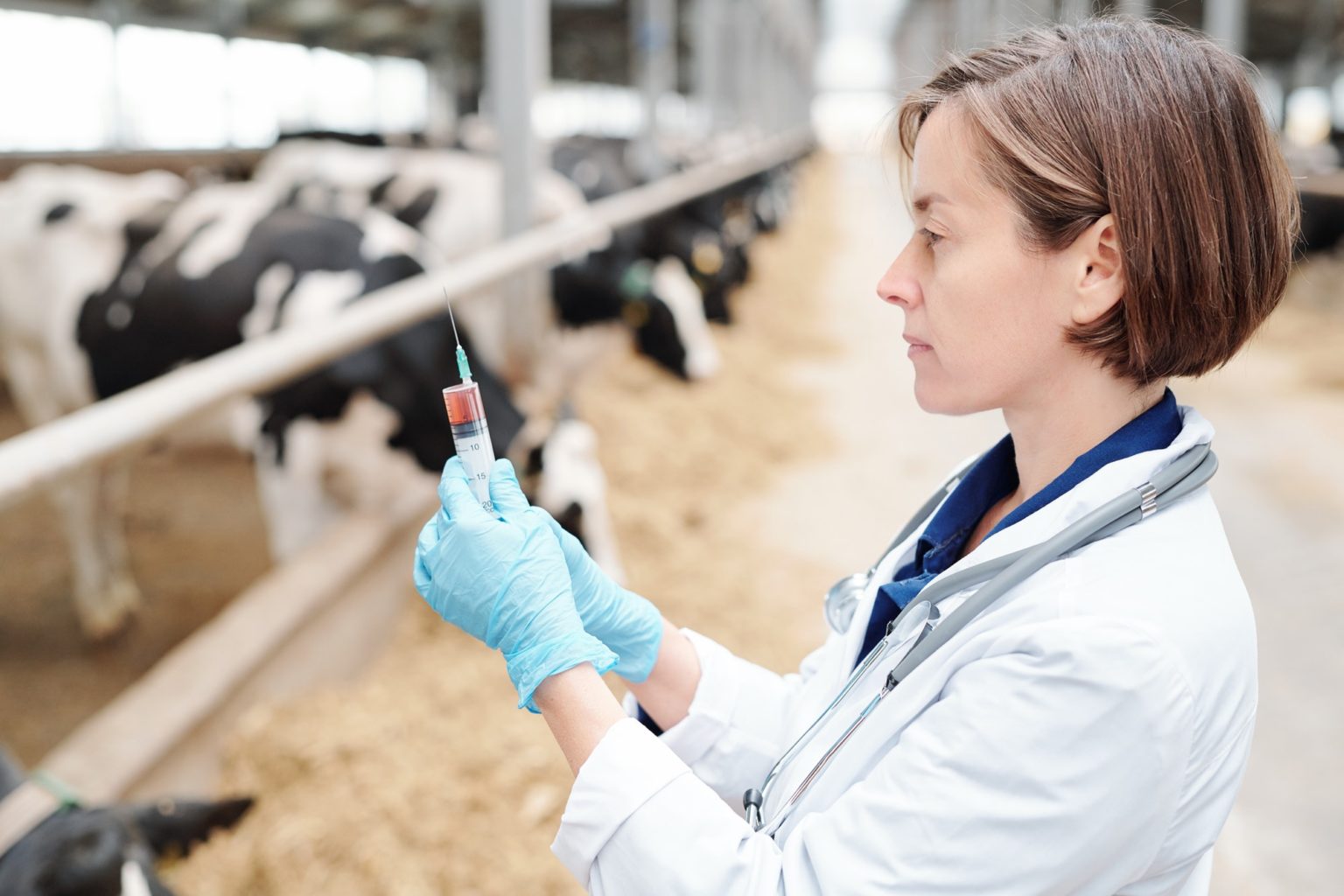 Veterinary Pharmacy, Veterinary Supplies & Livestock Medicine SA