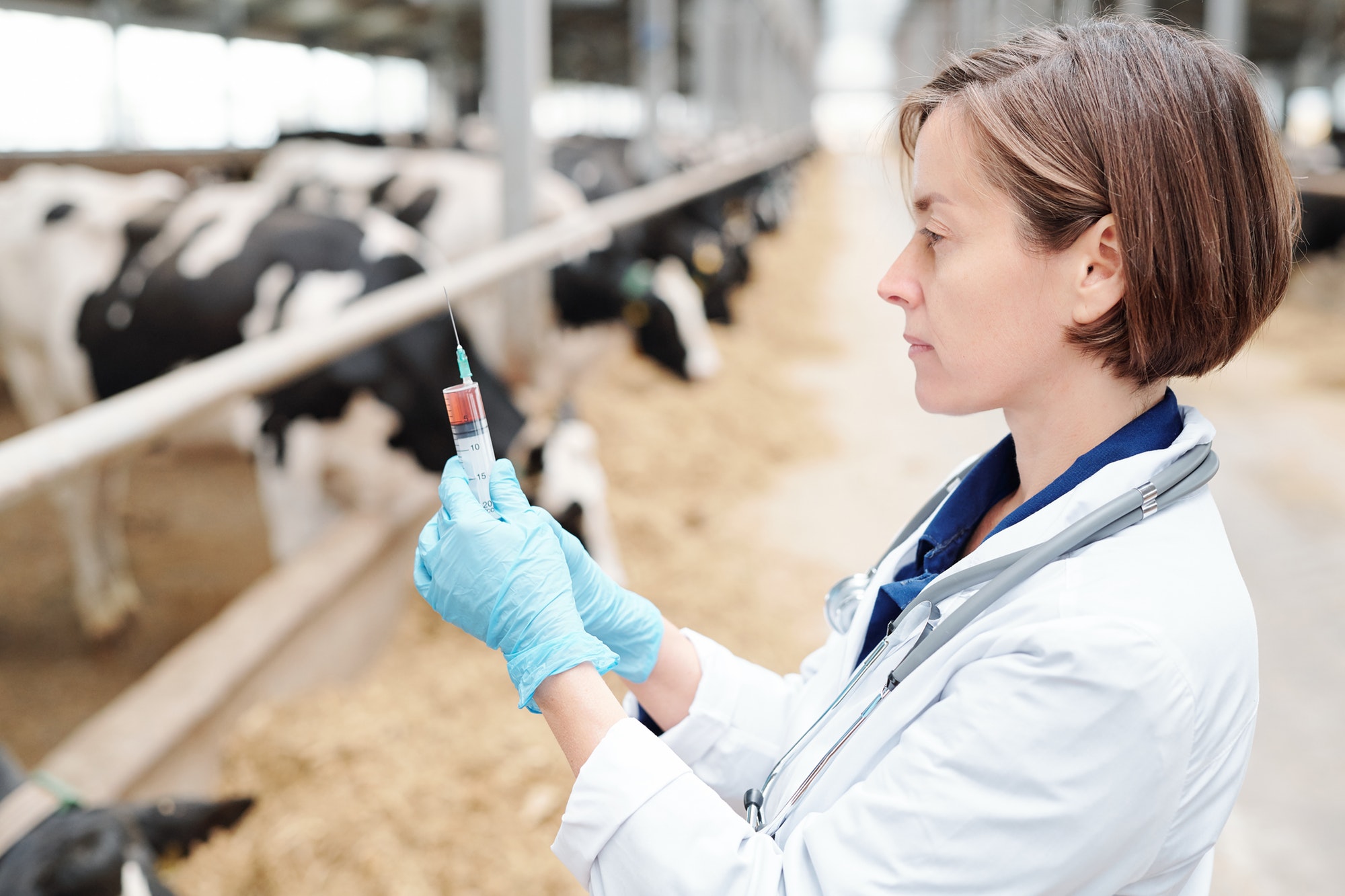 Veterinary Pharmacy, Veterinary Supplies & Livestock Medicine SA