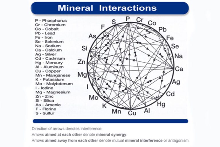 The importance of Microminerals in animal diet. - Agri Farmacy